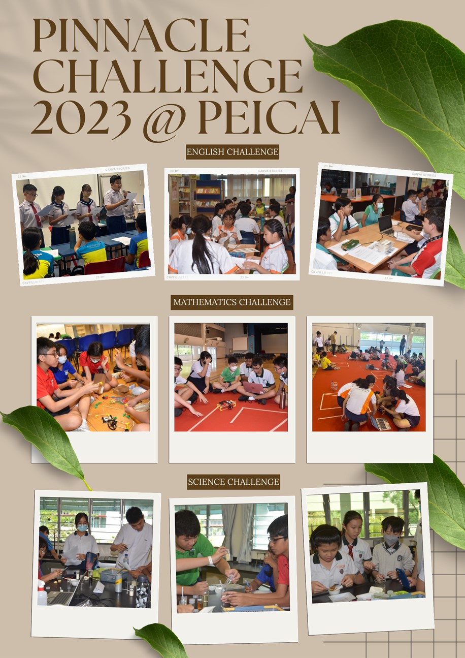 PinnaCle(Talent Development)